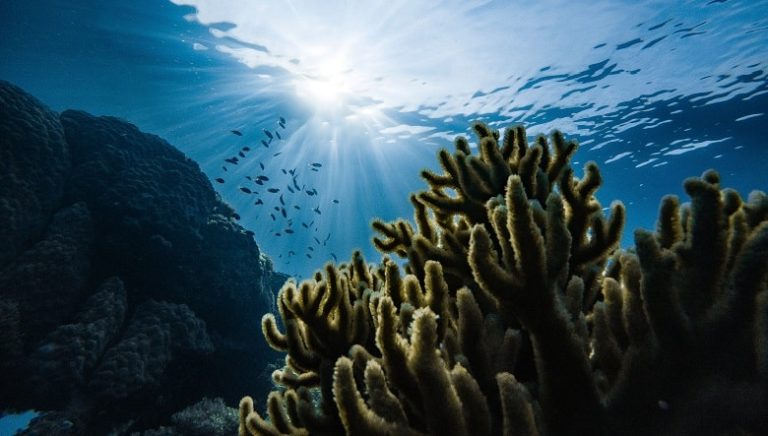 Descubrimiento de las islas Medes en el Estartit - Costa Brava Tour